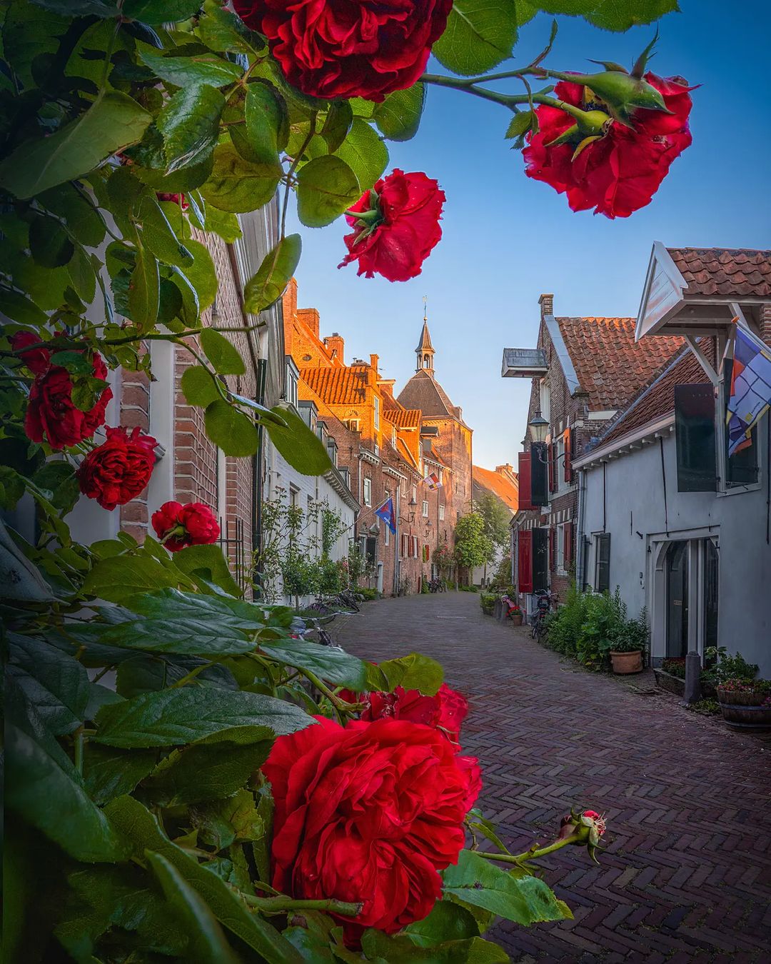 Here's why the Netherlands is the most beautiful country in the world ...