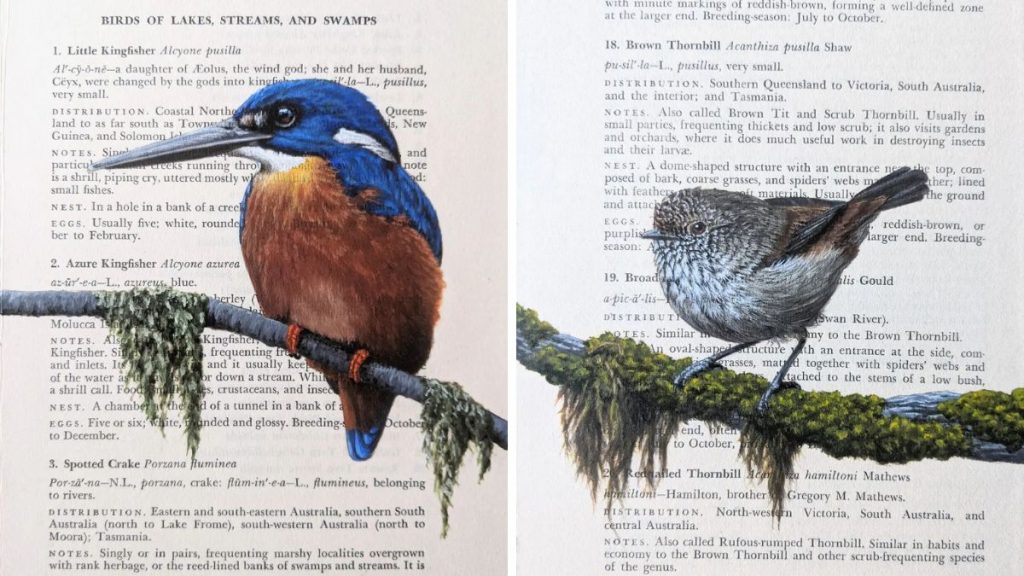 Artist Uses Pages From Old Books As His Canvas To Paint Beautiful Birds ...