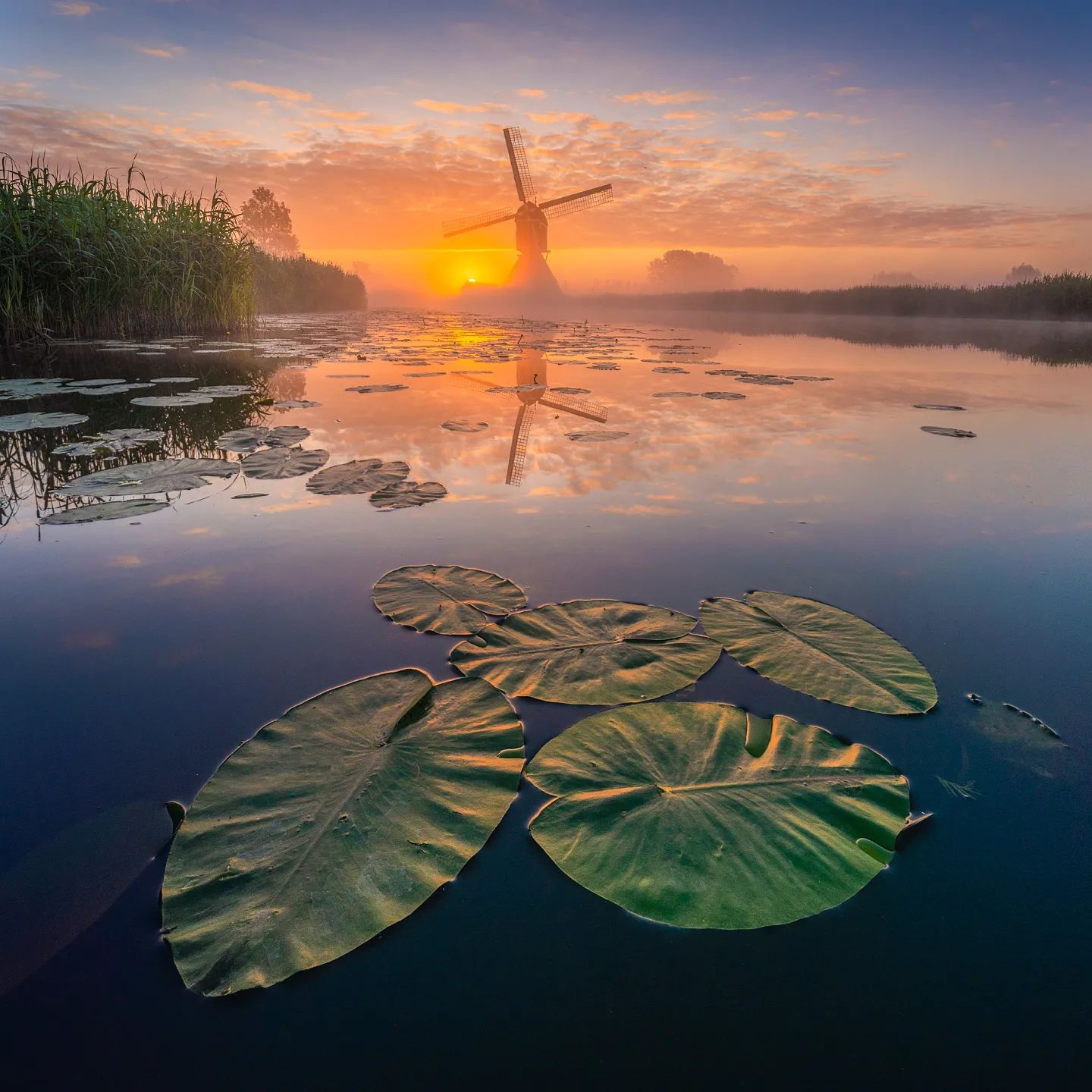 Here's why the Netherlands is the most beautiful country in the world ...