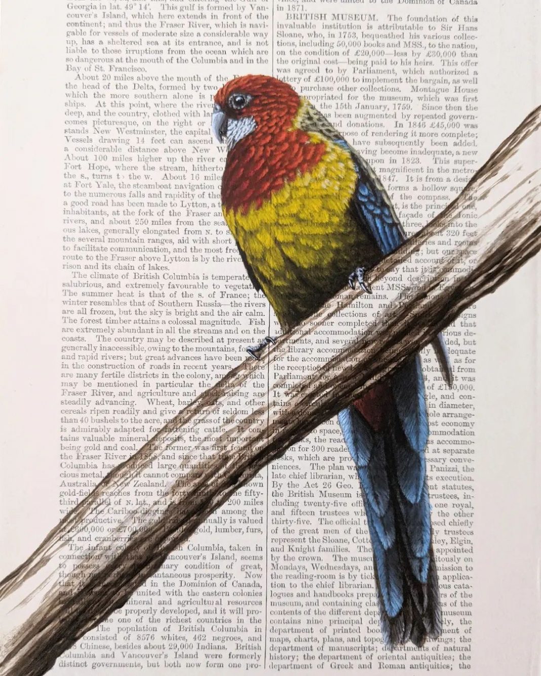 Artist Uses Pages From Old Books As His Canvas To Paint Beautiful Birds ...