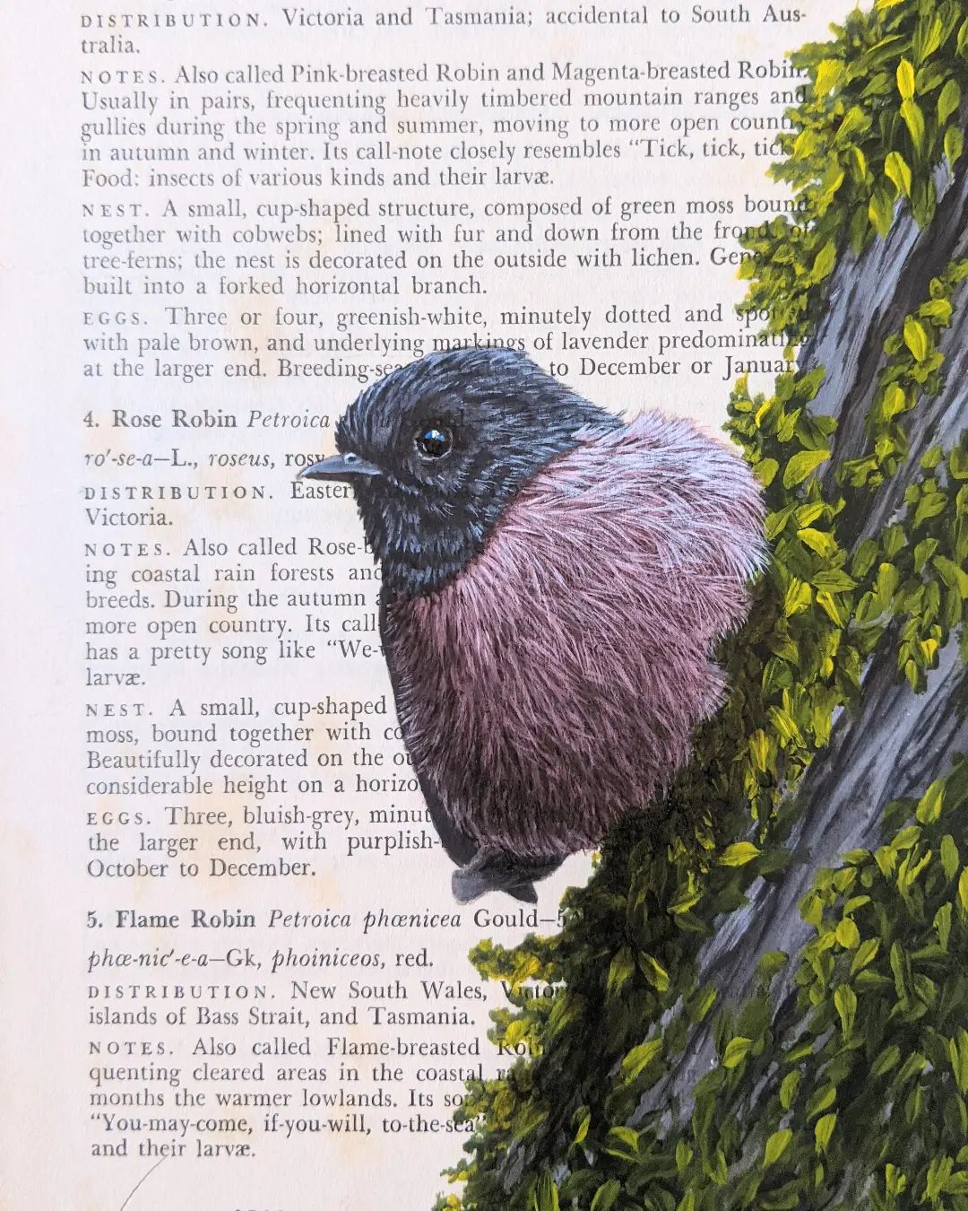 Artist Uses Pages From Old Books As His Canvas To Paint Beautiful Birds ...