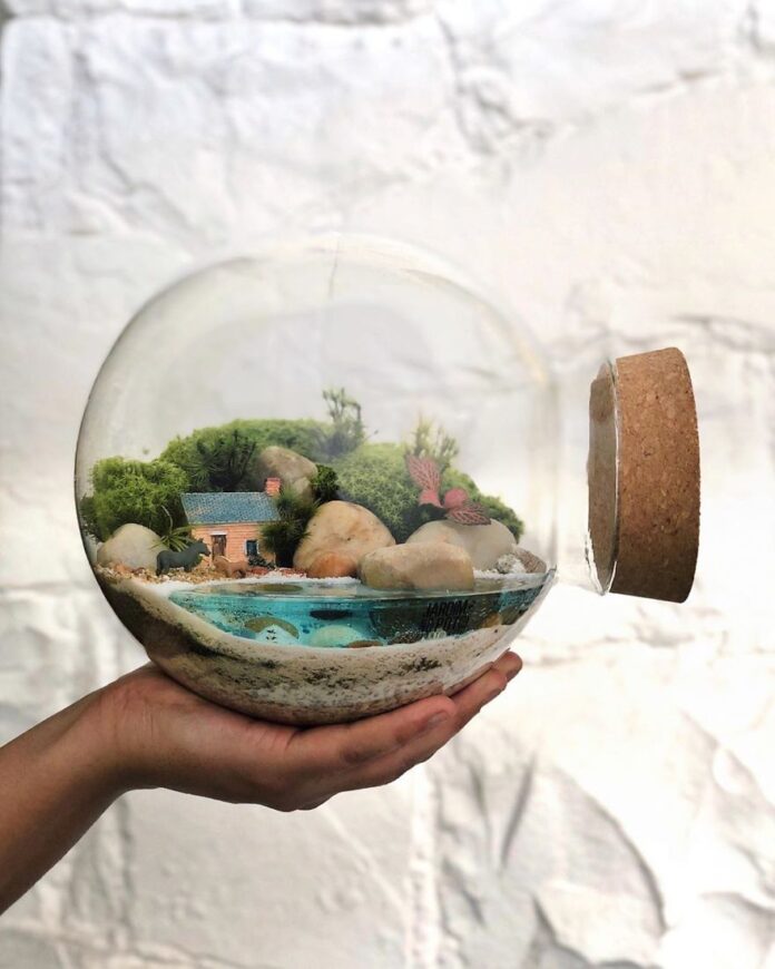 These Artists Creates Incredible Self Sustaining Ecosystems In Jars (31 ...