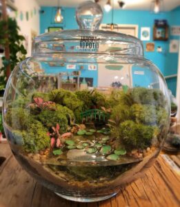 These Artists Creates Incredible Self Sustaining Ecosystems In Jars (31 ...