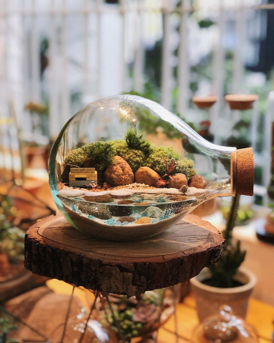 These Artists Creates Incredible Self Sustaining Ecosystems In Jars (31 ...