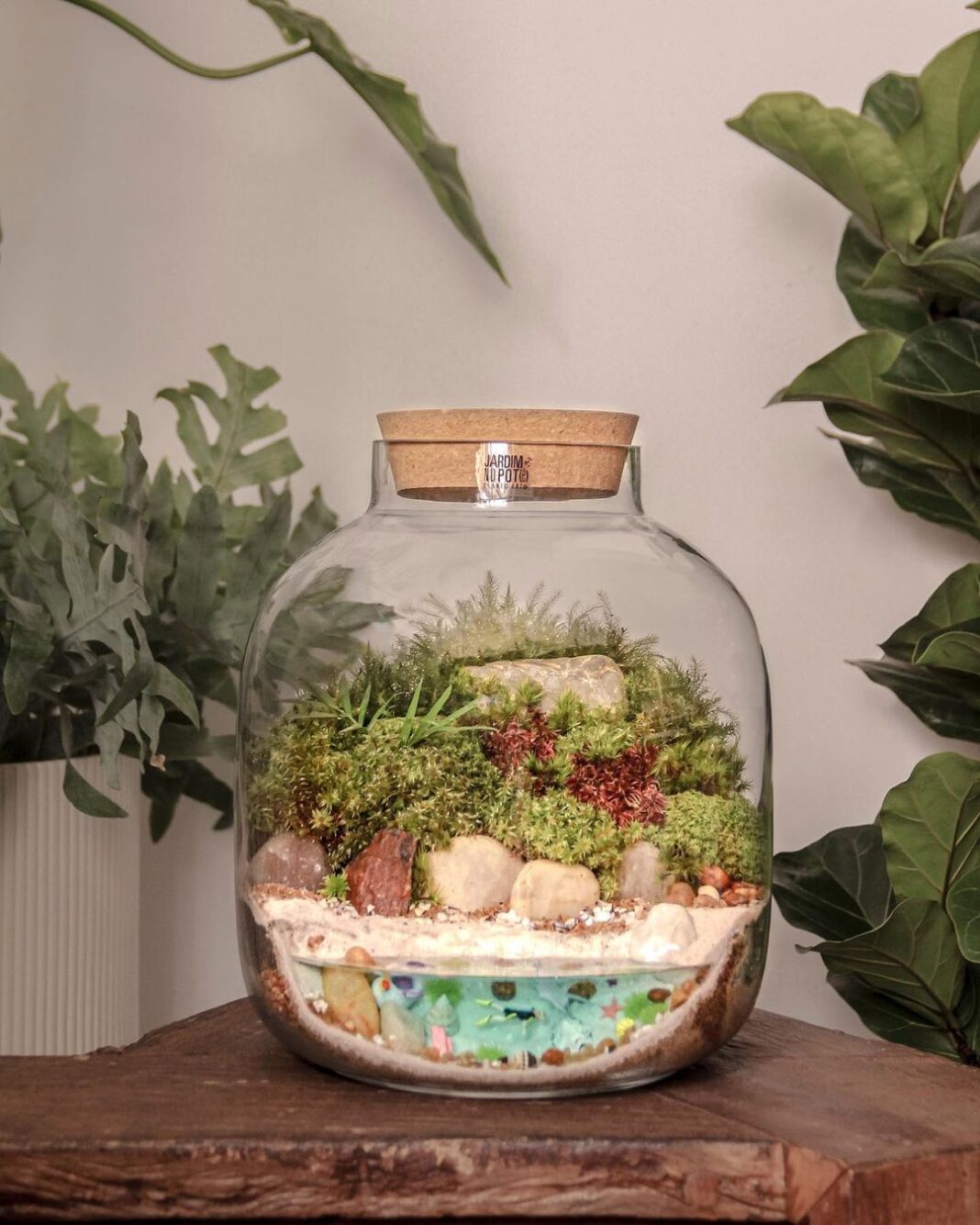These Artists Creates Incredible Self Sustaining Ecosystems In Jars (31 ...
