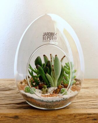 These Artists Creates Incredible Self Sustaining Ecosystems In Jars (31 ...