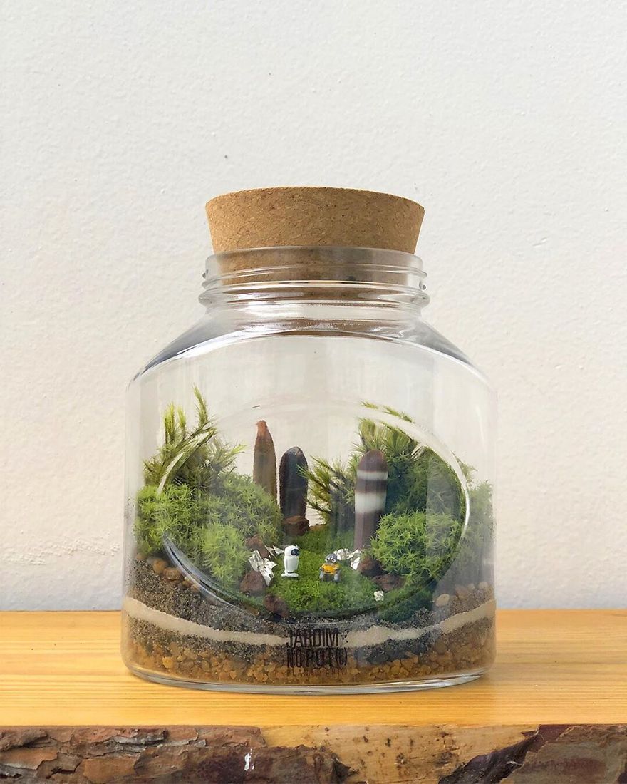 These Artists Creates Incredible Self Sustaining Ecosystems In Jars (31 ...