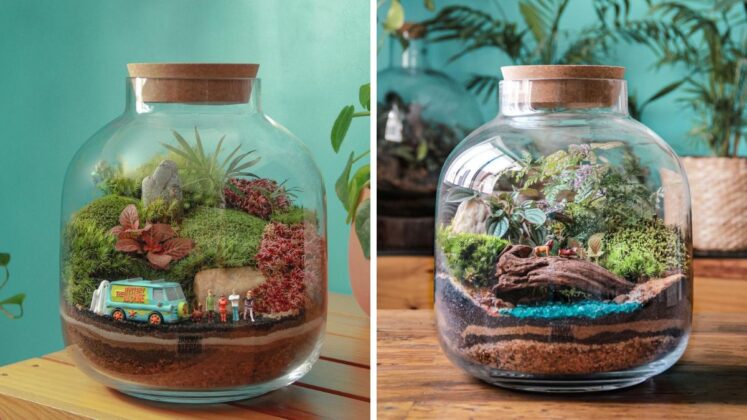 These Artists Creates Incredible Self Sustaining Ecosystems In Jars (31 ...